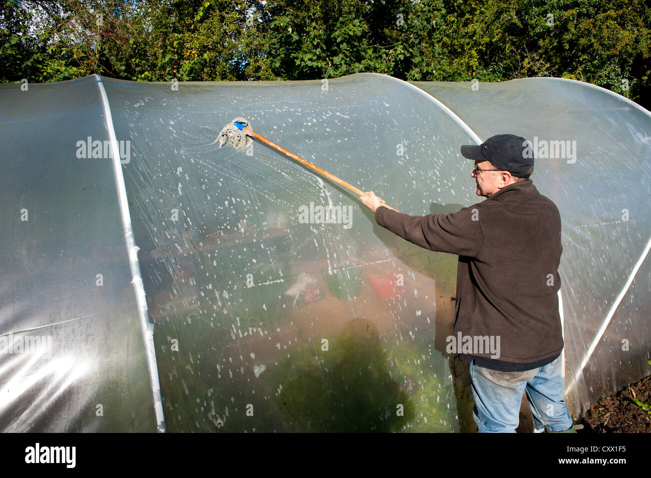 Greenhouse cleaning hi-res stock photography and images - Alamy