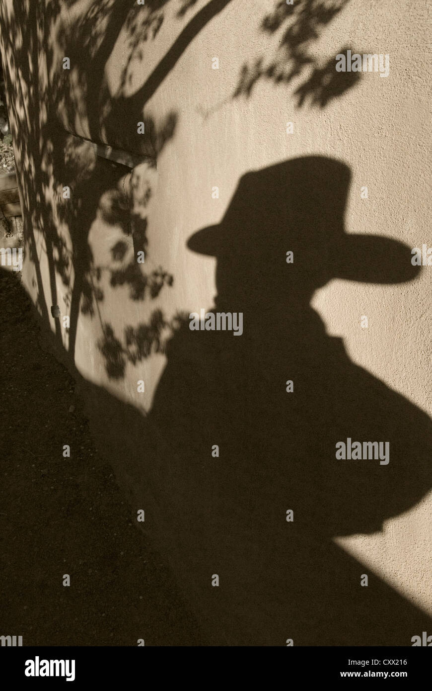 Man wearing cowboy hat tree hi-res stock photography and images - Alamy