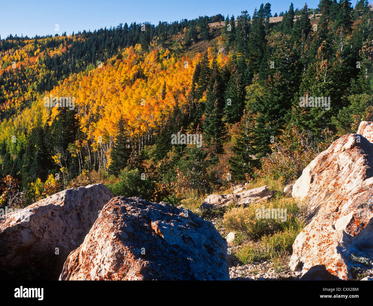 Saddle Mountain Wilderness Area, Marble Point overlook, Sunrise ...