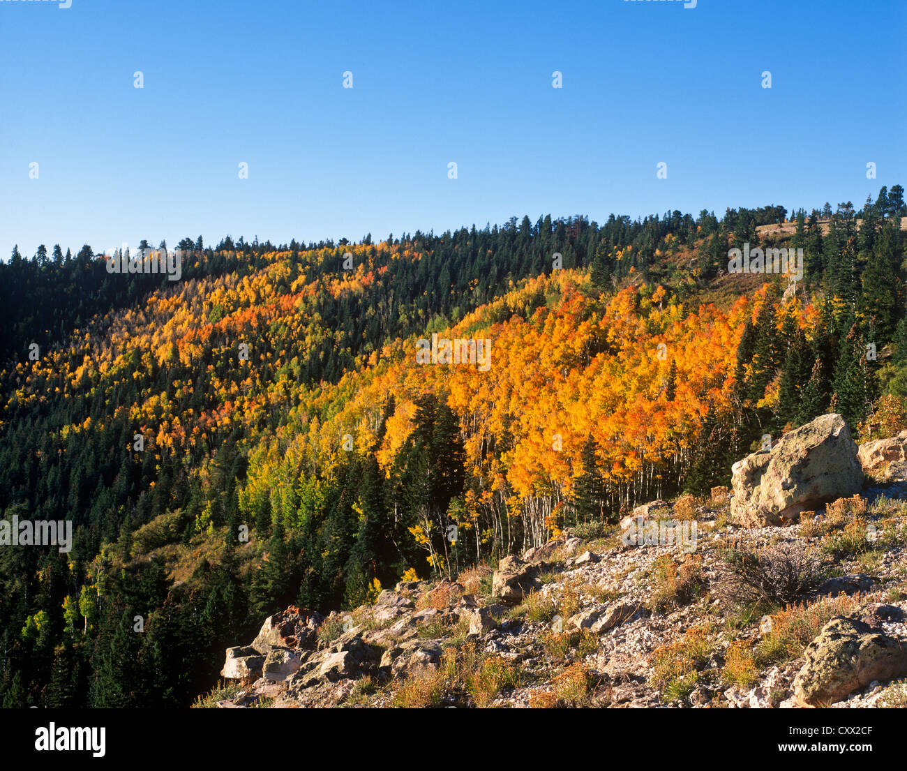 Saddle Mountain Wilderness Area, Marble Point overlook, Sunrise ...