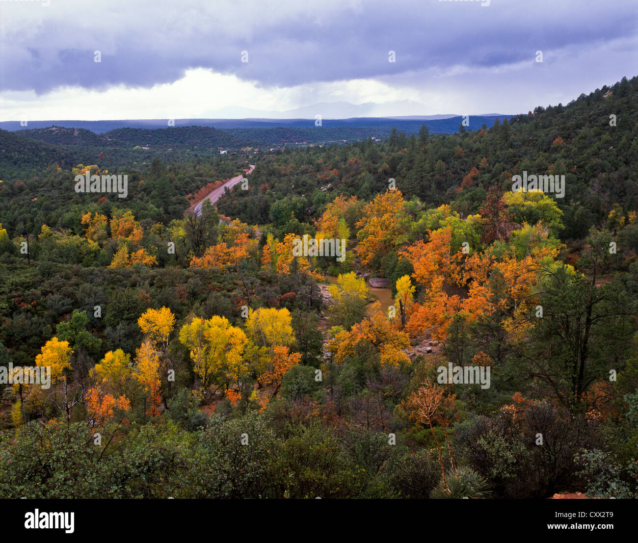 Houston Mesa Road and East Verde River fall color north of Payson ...