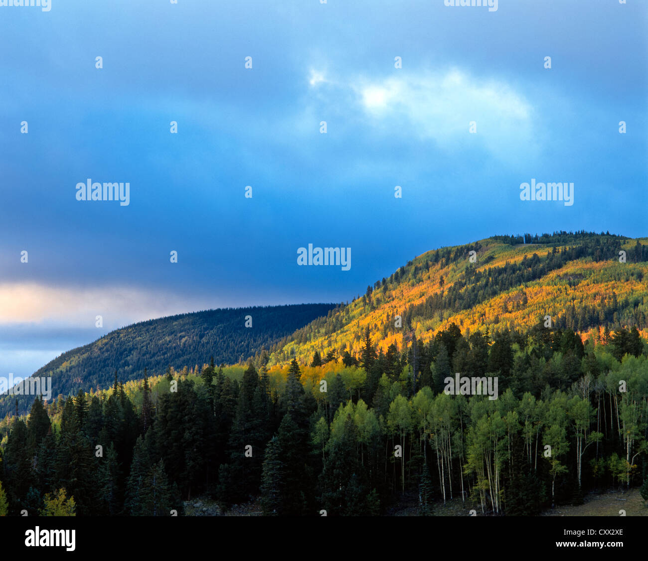 White Mountains of Eastern Arizona. Escudilla Mountain with golden ...