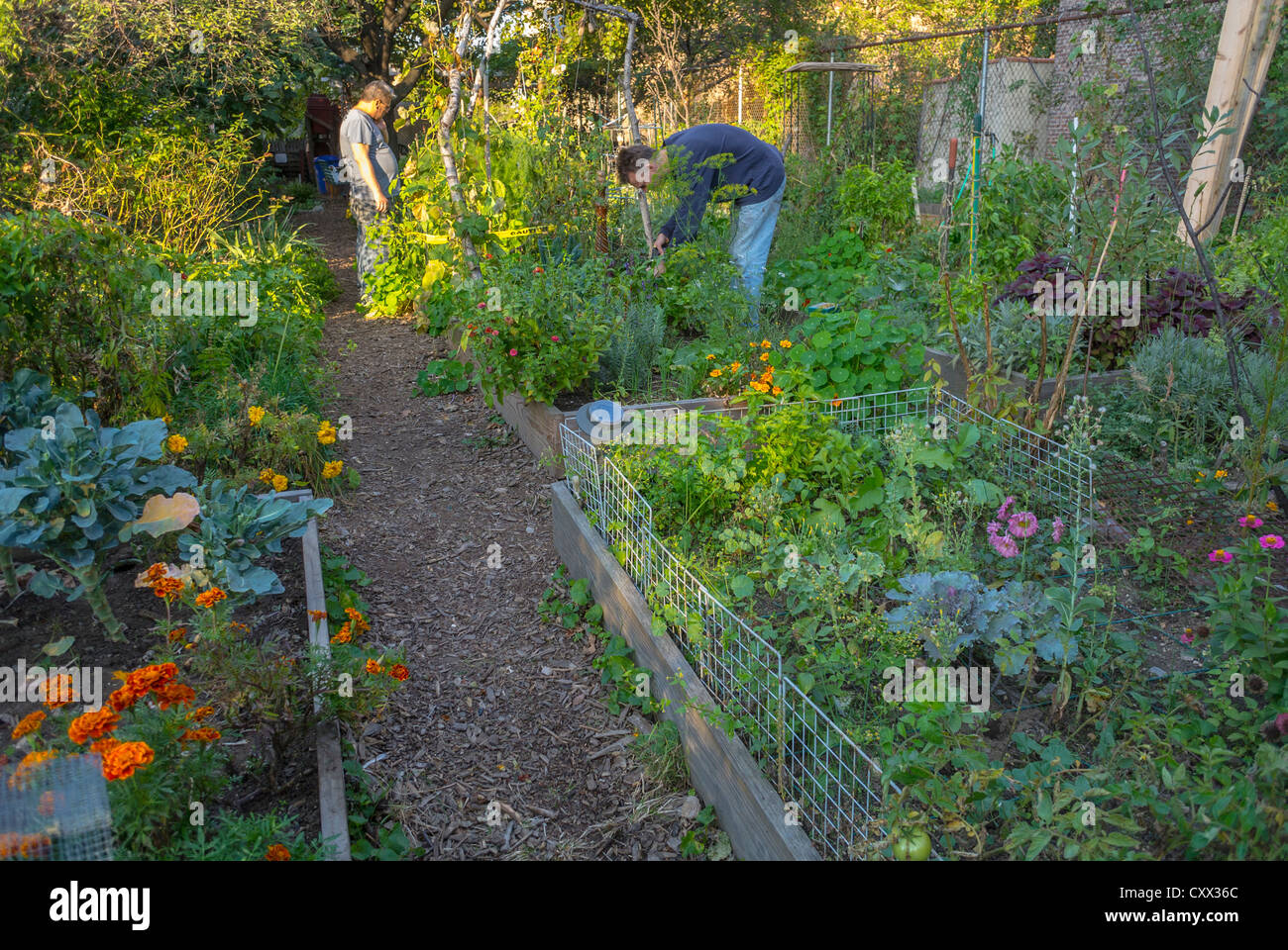 Harlem, community gardens hi-res stock photography and images - Alamy