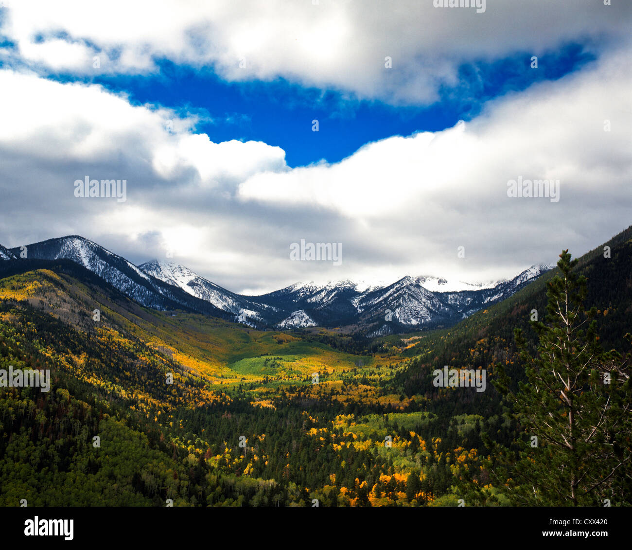 High up on Sugarloaf Mountain the view south into Lockett Meadow/Inner ...