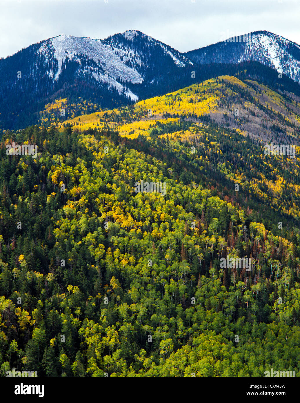 Inner basin hi-res stock photography and images - Alamy