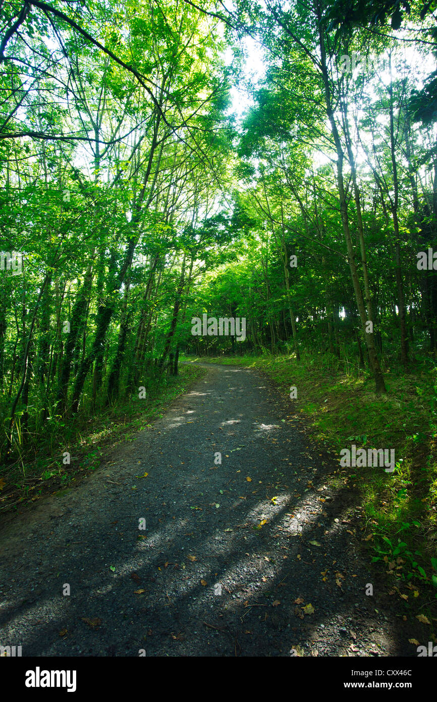 Roadford hi-res stock photography and images - Alamy