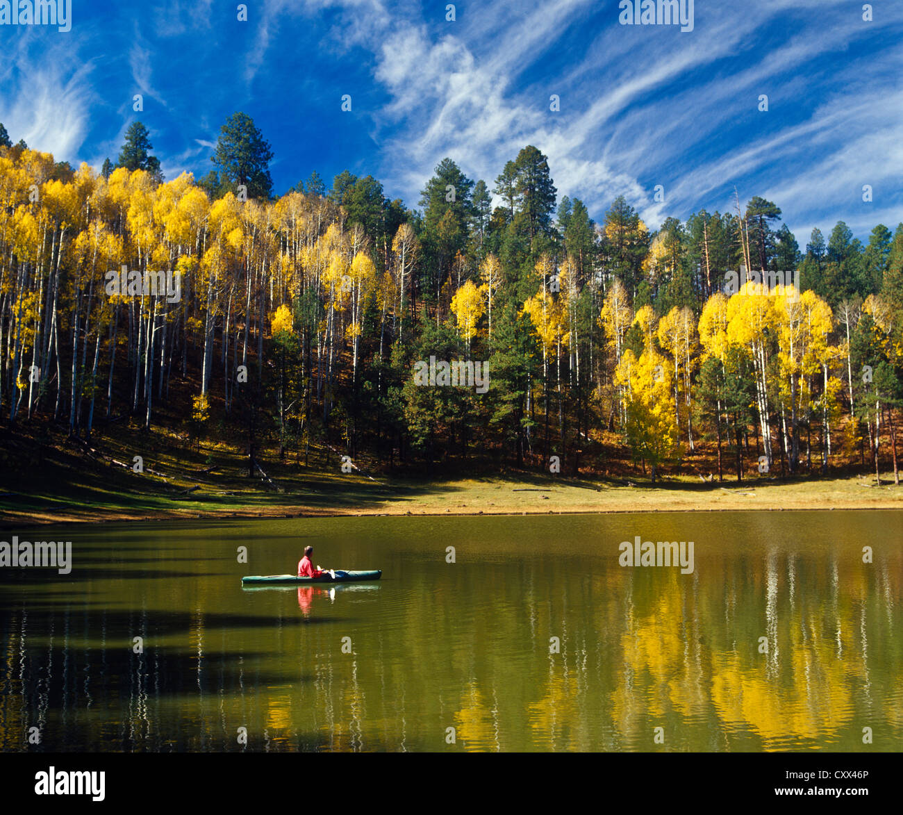 Mogollon rim potato hi-res stock photography and images - Alamy