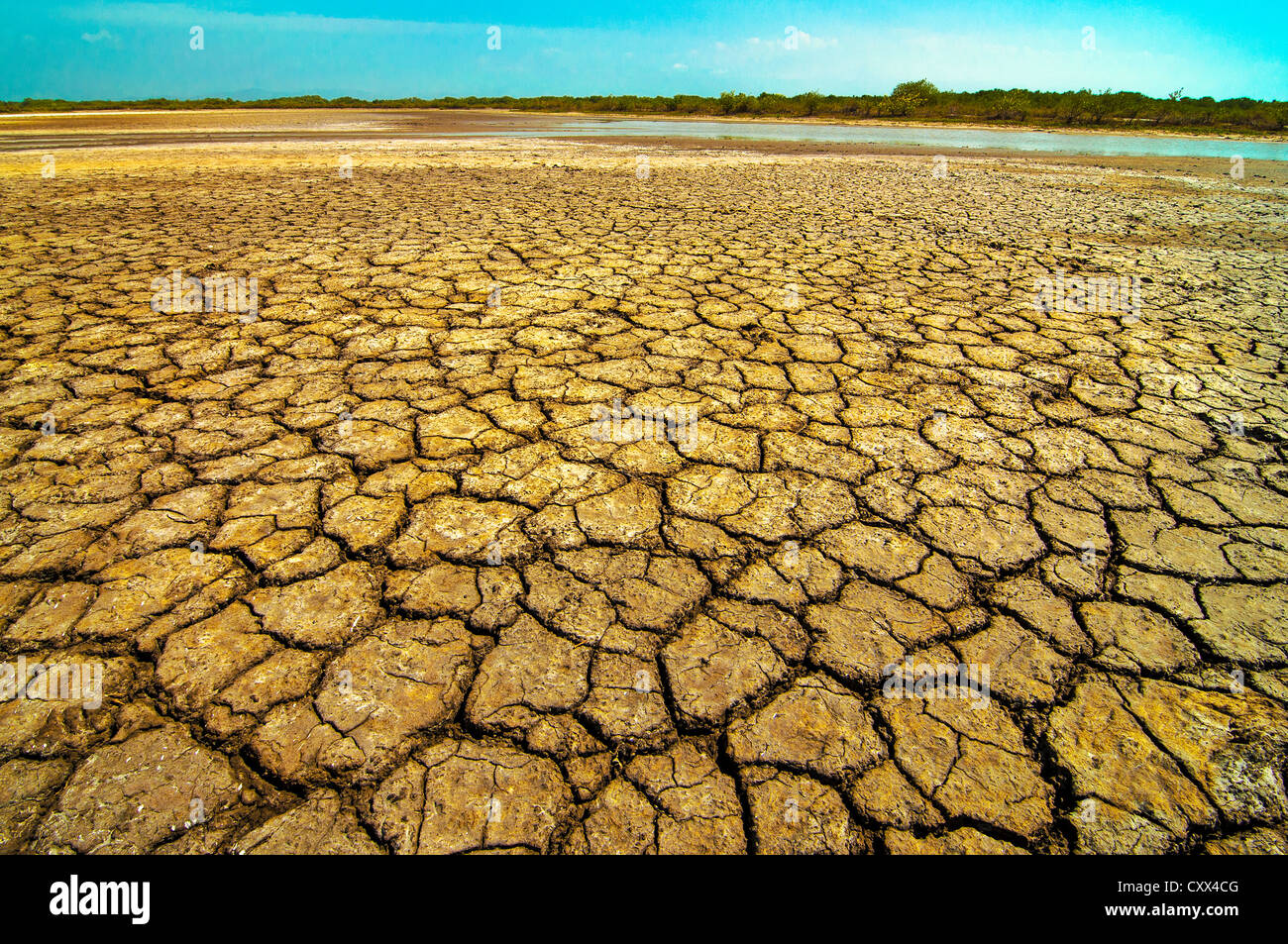 Baking in the hot sun hi-res stock photography and images - Alamy
