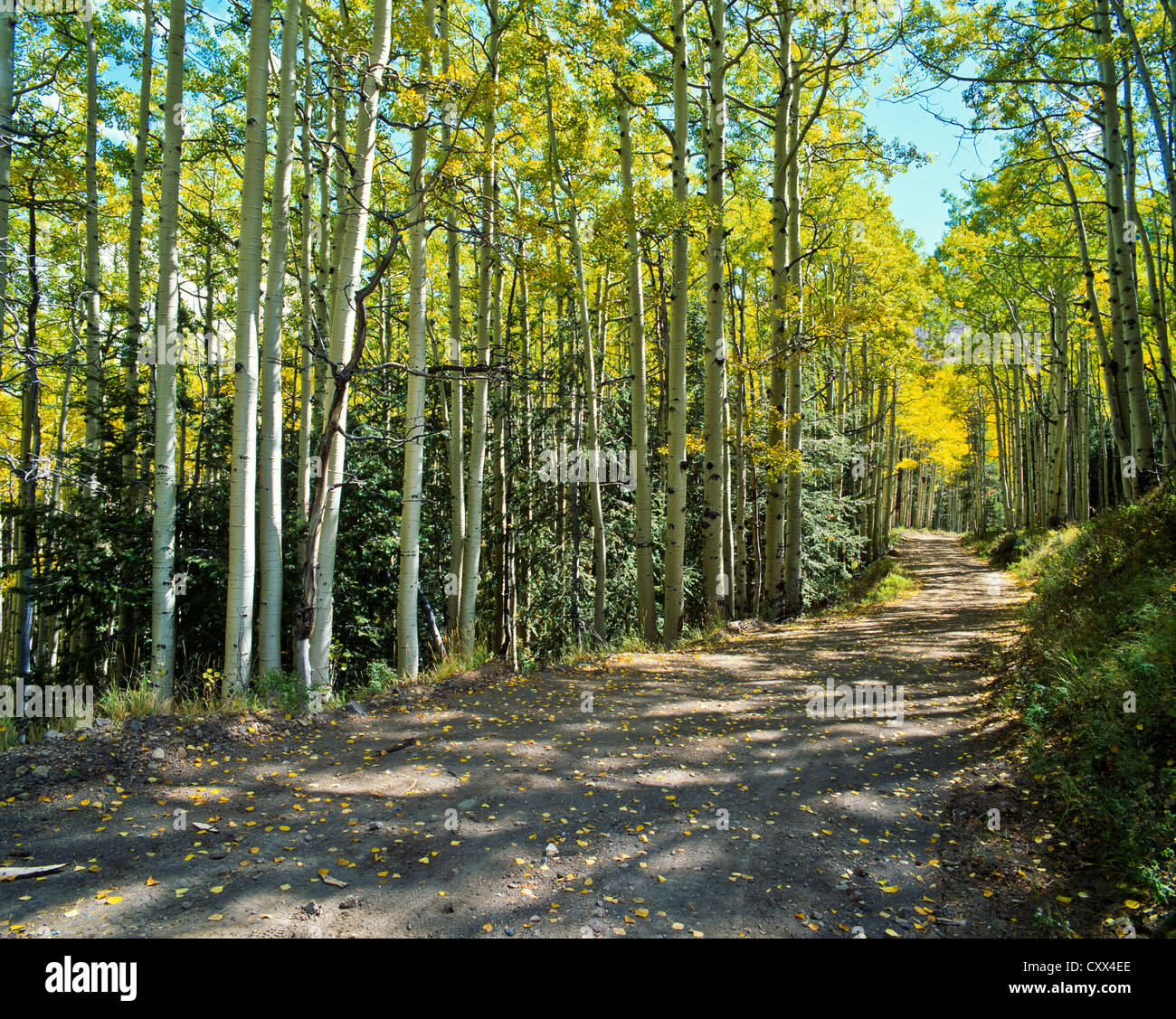 Locket road hi-res stock photography and images - Alamy