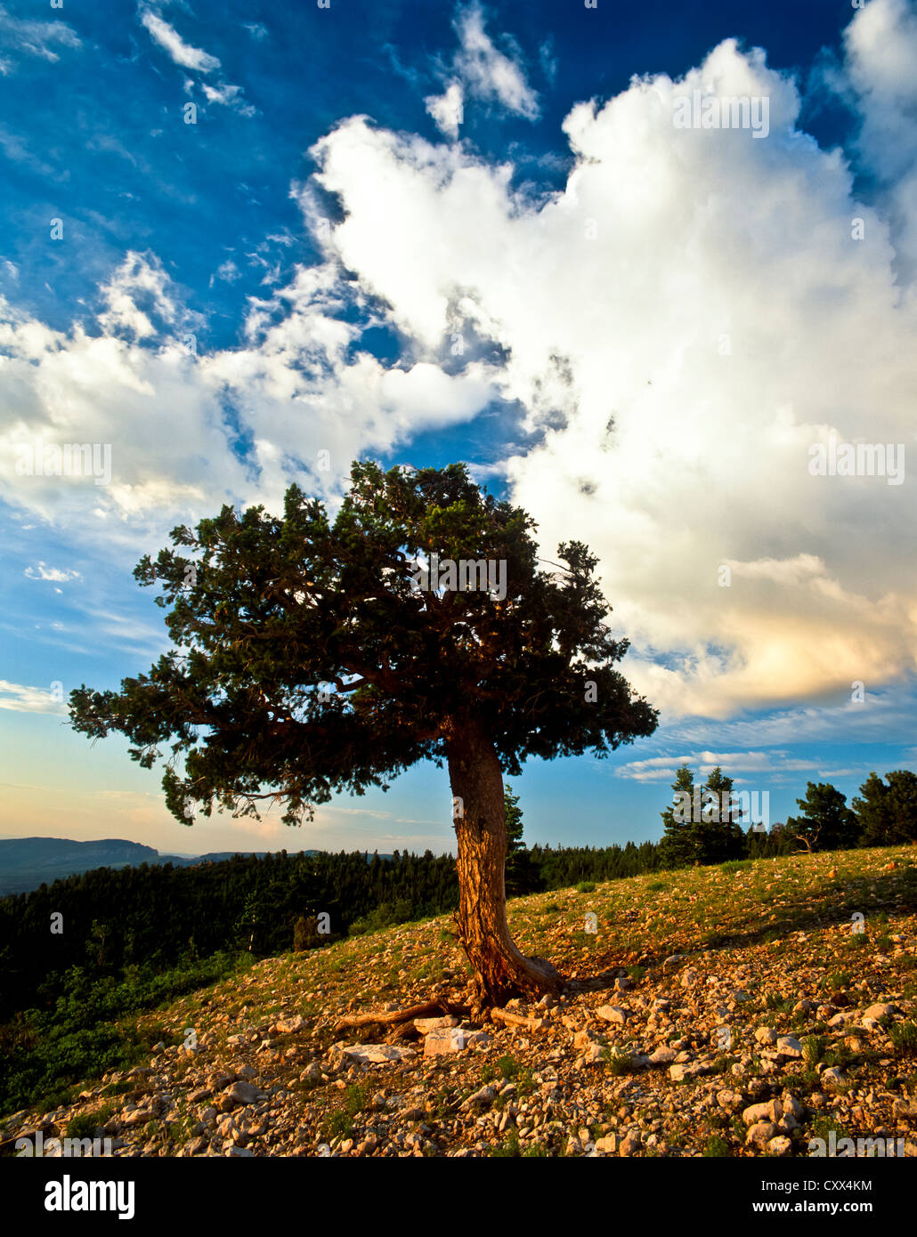 Saddle Mountain Wilderness Area, Marble Point overlook, Sunrise ...
