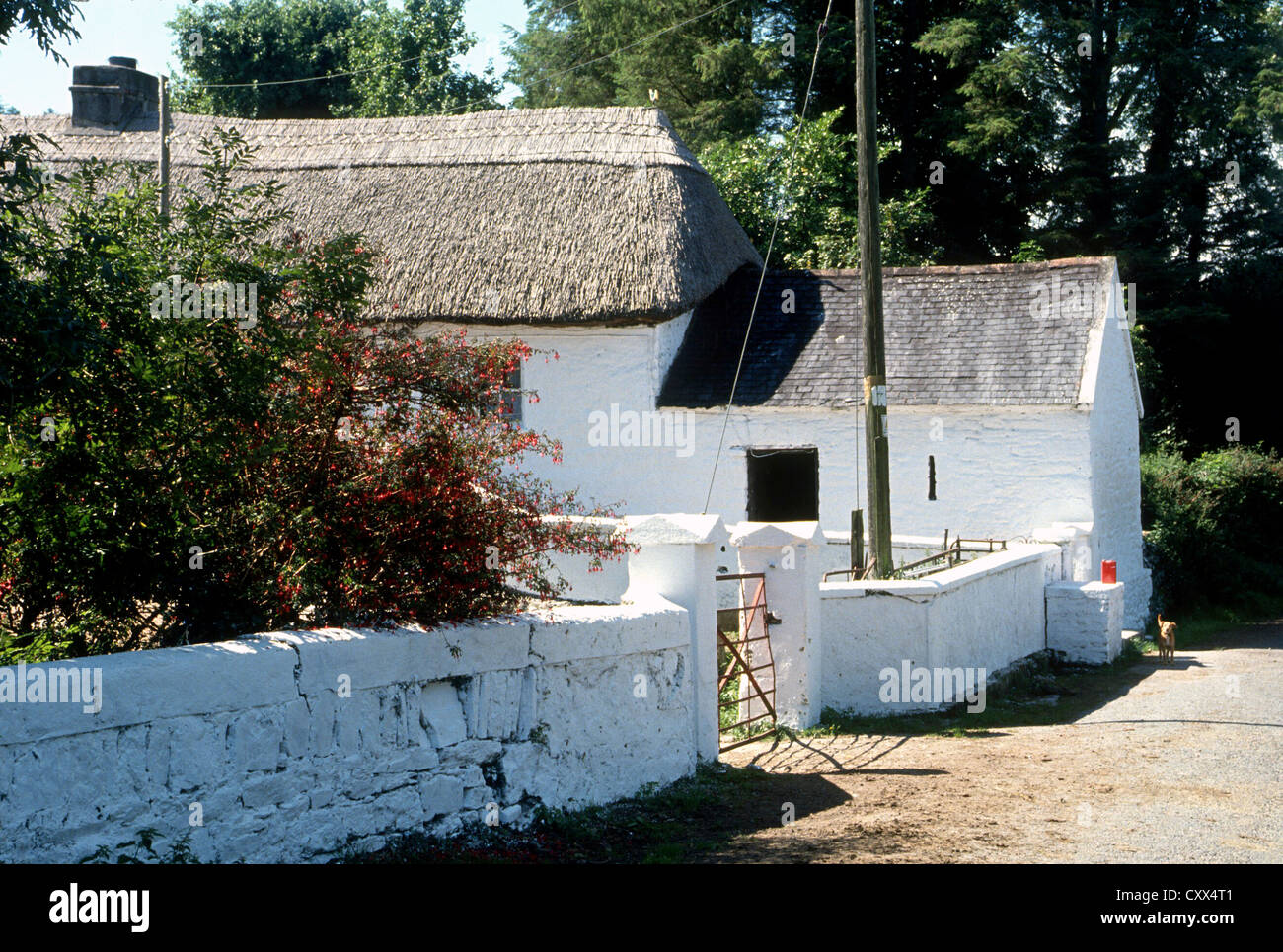 characteristic thatched farmhouse in Co Waterford Ireland Stock Photo ...