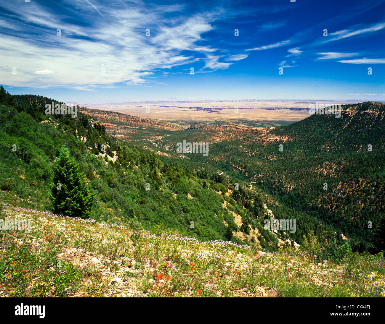 Saddle Mountain Wilderness Area, Marble Point overlook, Sunrise ...