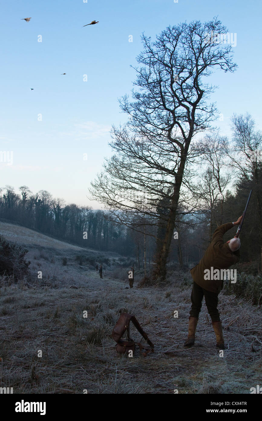 Pheasant shooting hi-res stock photography and images - Alamy