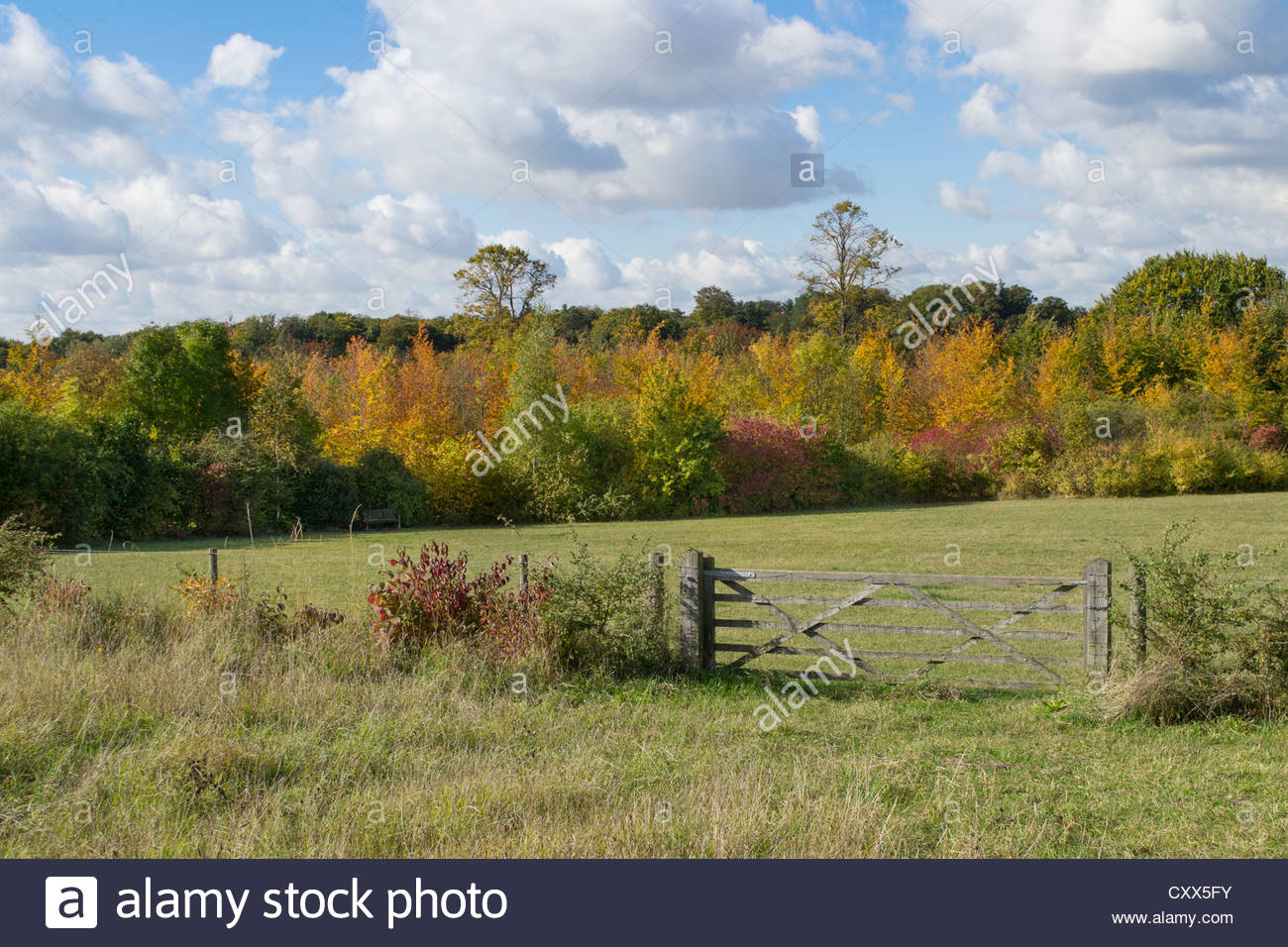 Gog Magog Cambridge Stock Photos & Gog Magog Cambridge Stock Images - Alamy