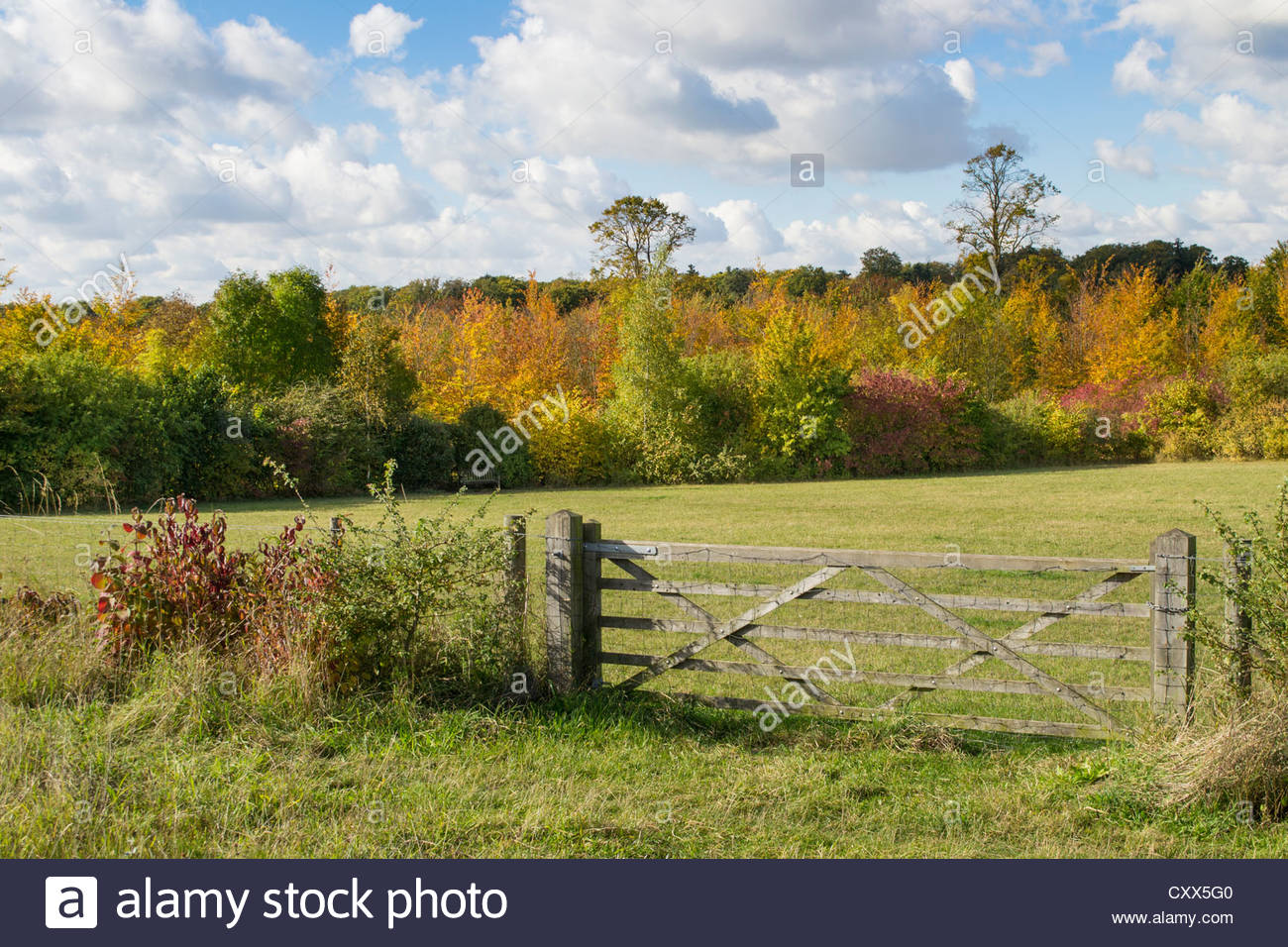 Wooden Colours High Resolution Stock Photography and Images - Alamy
