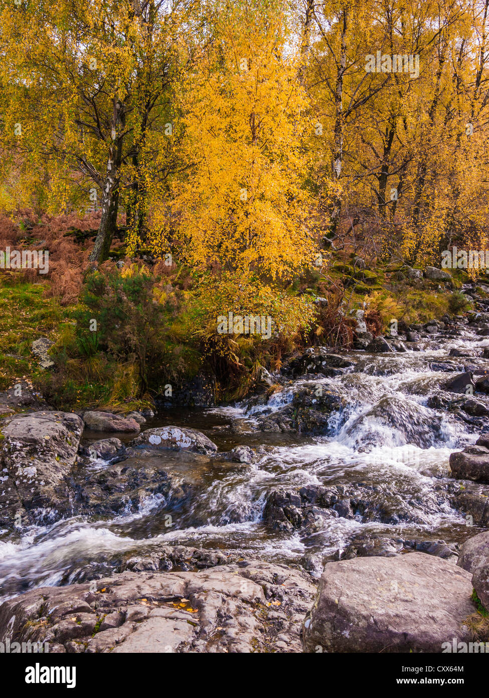 British isles colour hi-res stock photography and images - Alamy