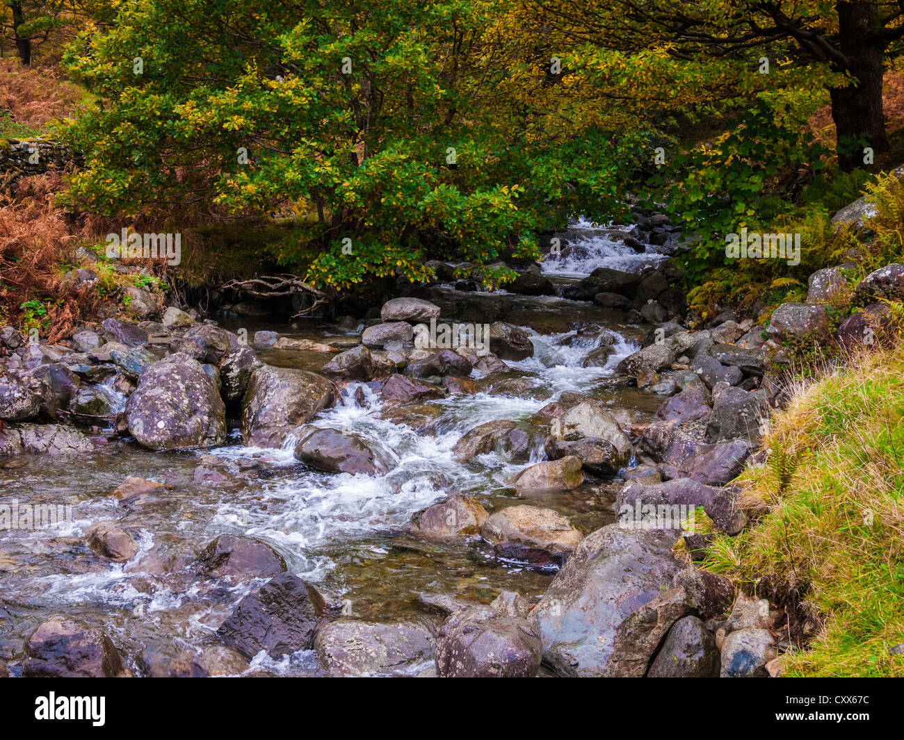 British fell hi-res stock photography and images - Alamy