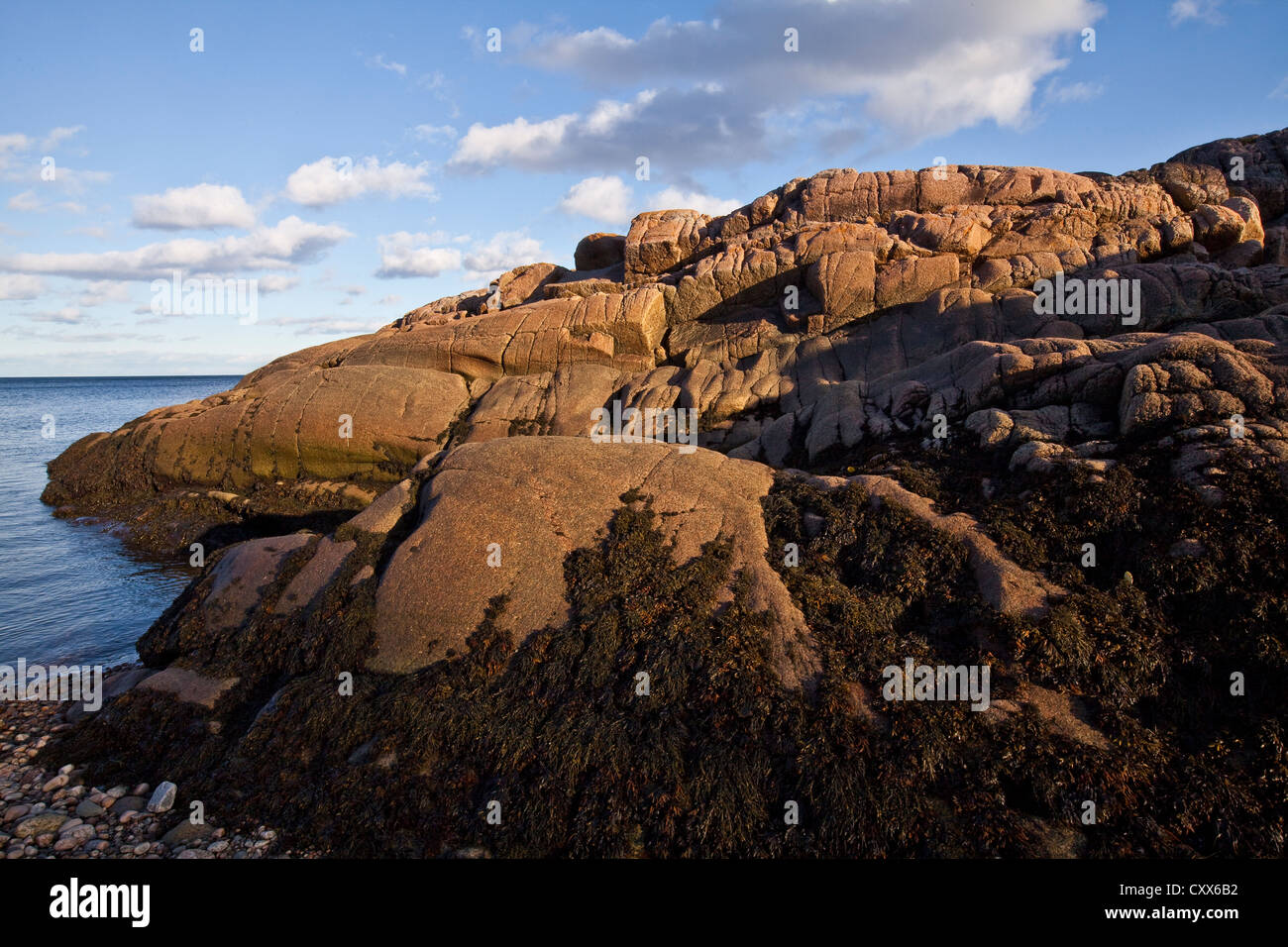 The sun sets on the rocky seashore and the intertidal zone of the St ...