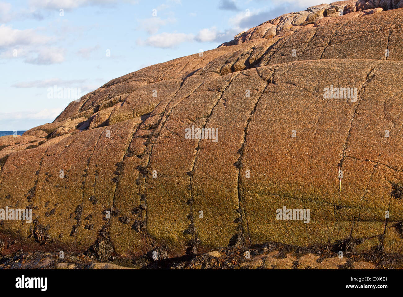 The sun sets on the rocky seashore and the intertidal zone of the St ...