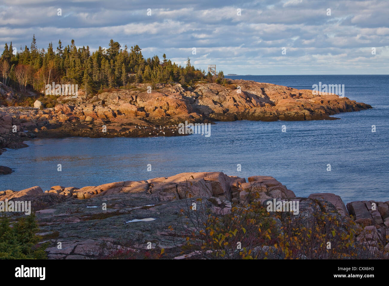 The sun sets on the rocky seashore and the intertidal zone of the St ...