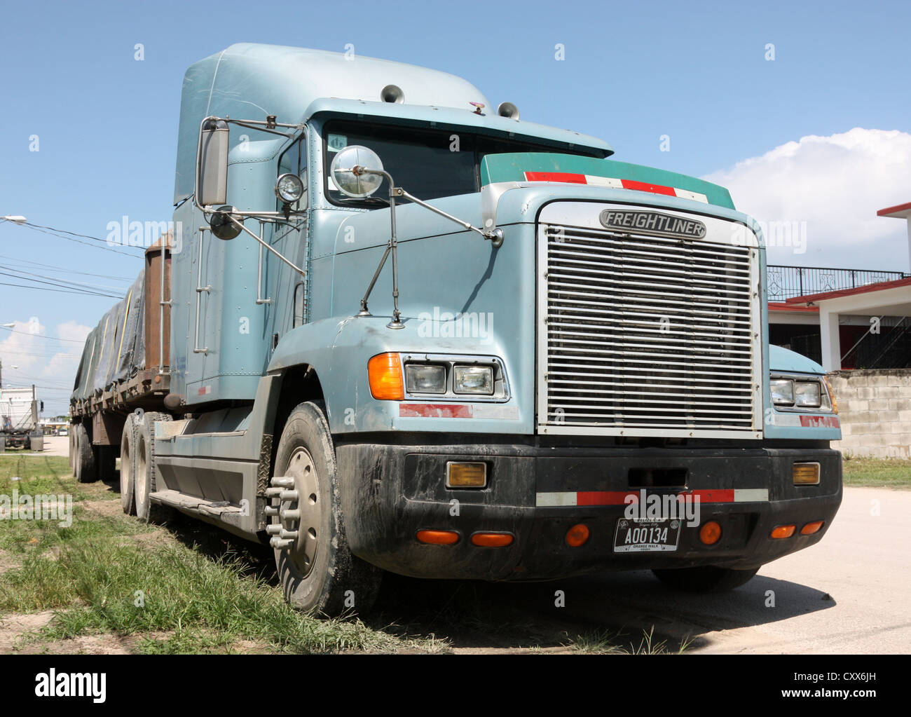 Freightliner Show Trucks