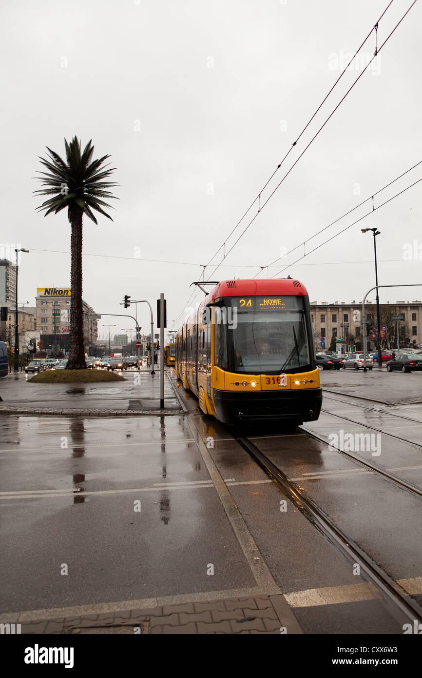 Palm tree warsaw poland hi-res stock photography and images - Alamy