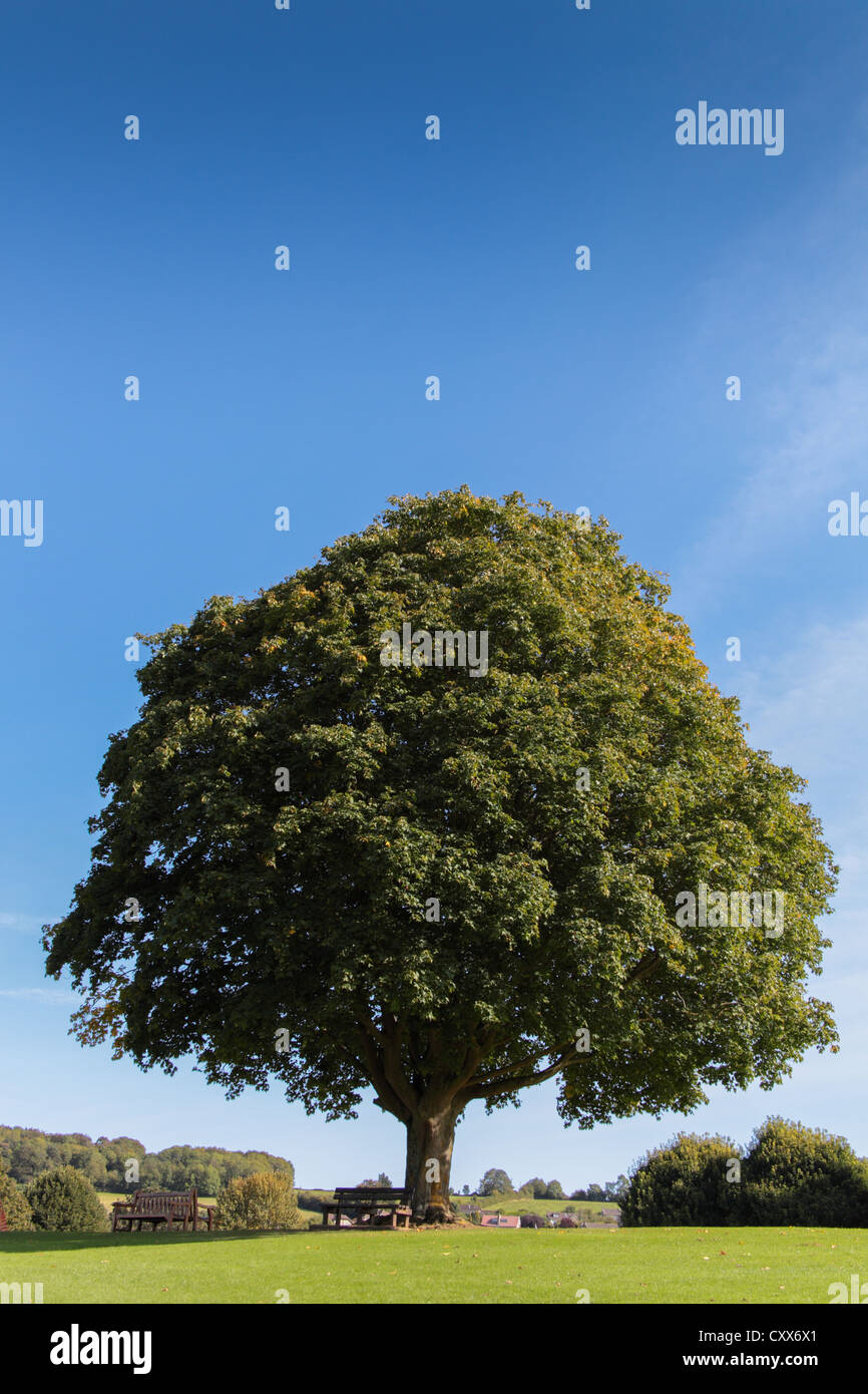 Recreation grounds Box Village, Corsham, Wiltshire Stock Photo - Alamy
