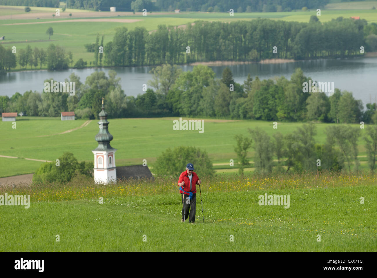 Nordic walking, Bavaria, Germany Stock Photo - Alamy