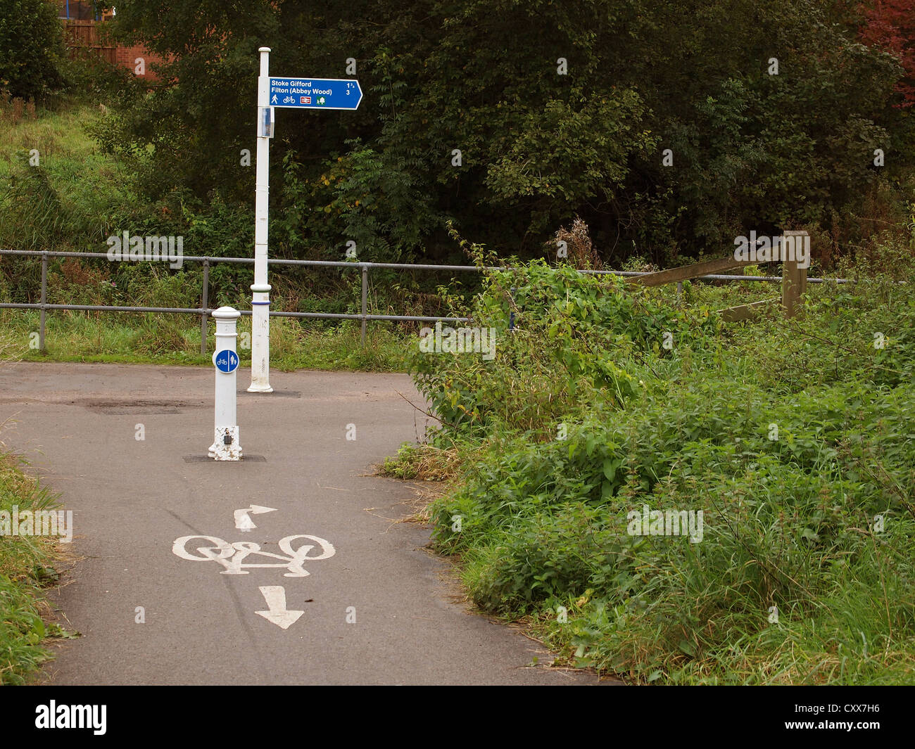 Cycle path direction sign and road marking Stock Photo - Alamy