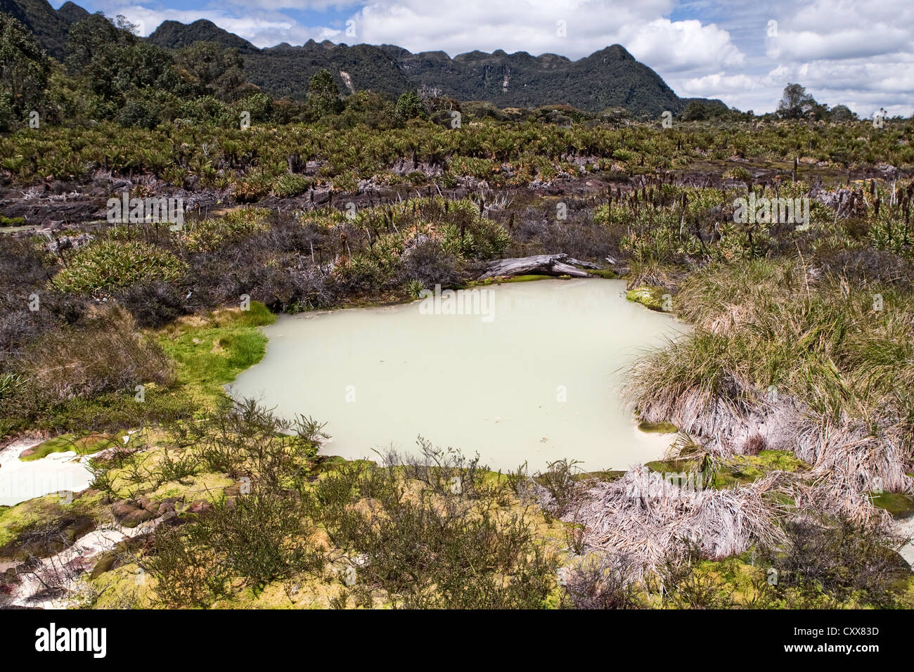 Hot sulphur springs, Volcan, Parque de Nacional Naturales Purace ...