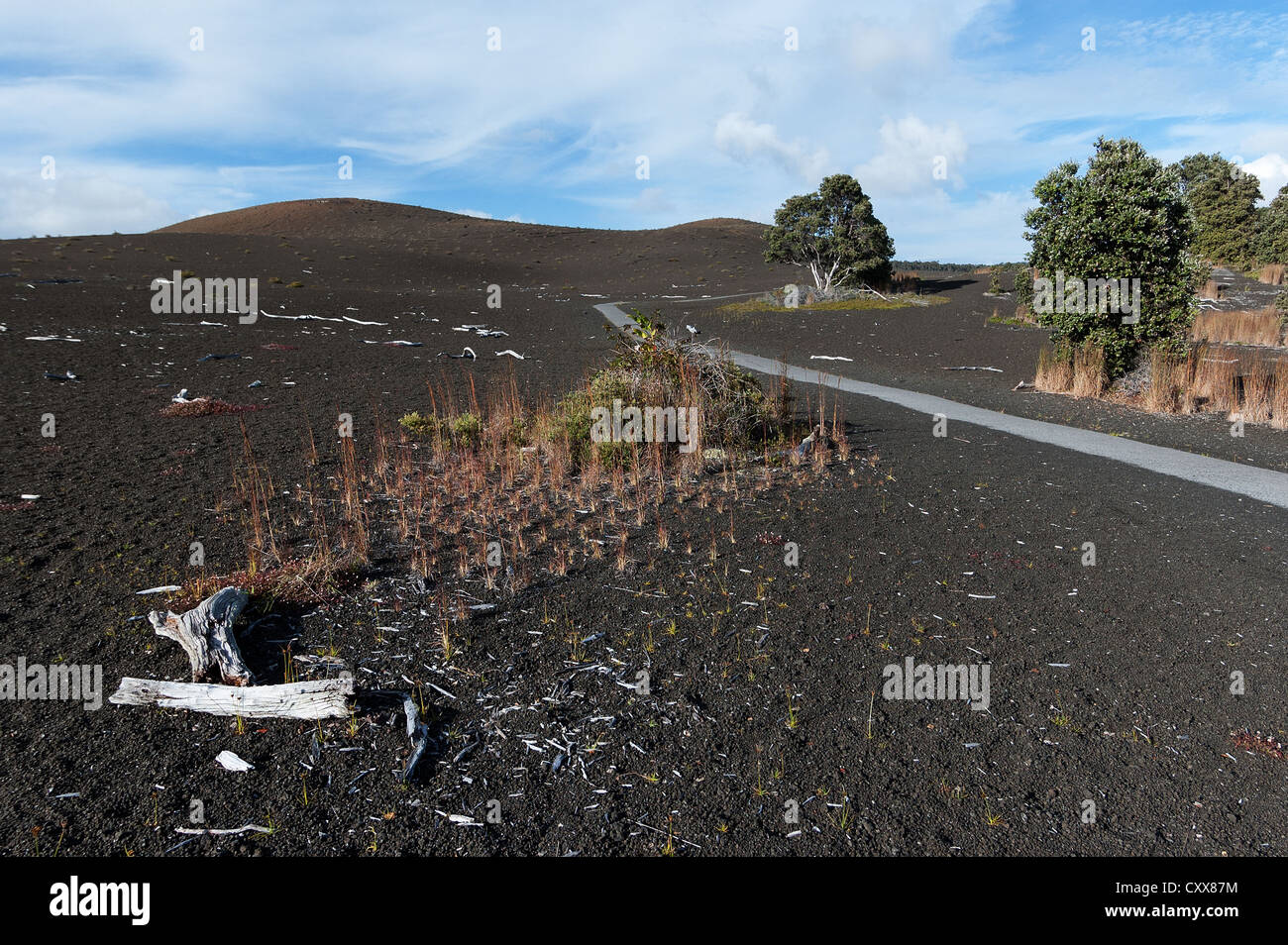 Elk284-2397 Hawaii, Big Island, Volcanoes National Park, Devastation ...