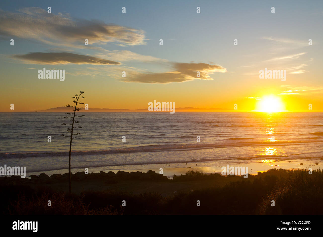 Ocean sunset on the California coast Stock Photo - Alamy