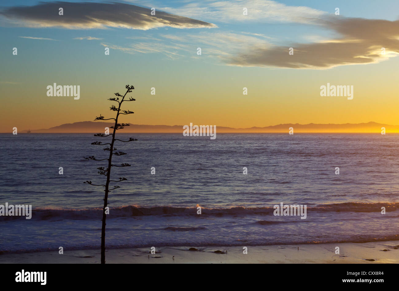 Ocean sunset on the California coast Stock Photo - Alamy
