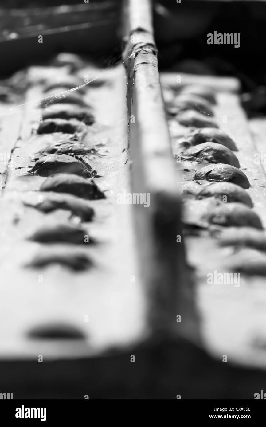 Rusty bridge rivets hi-res stock photography and images - Alamy