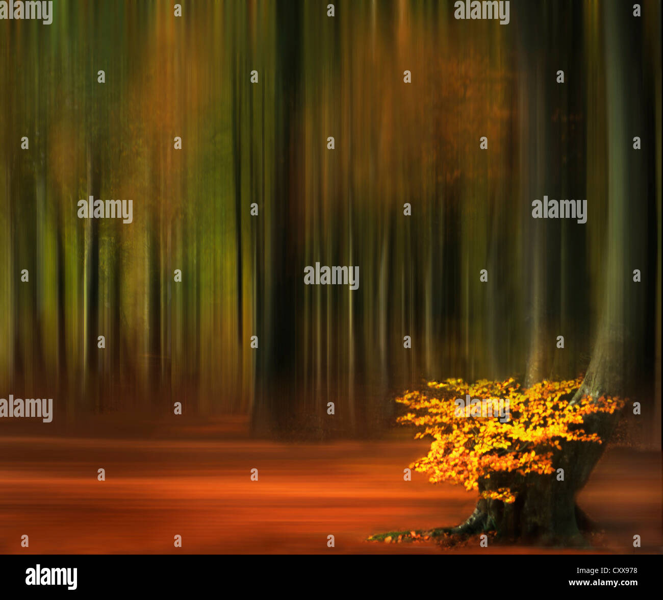 Distortion of nature hi-res stock photography and images - Alamy