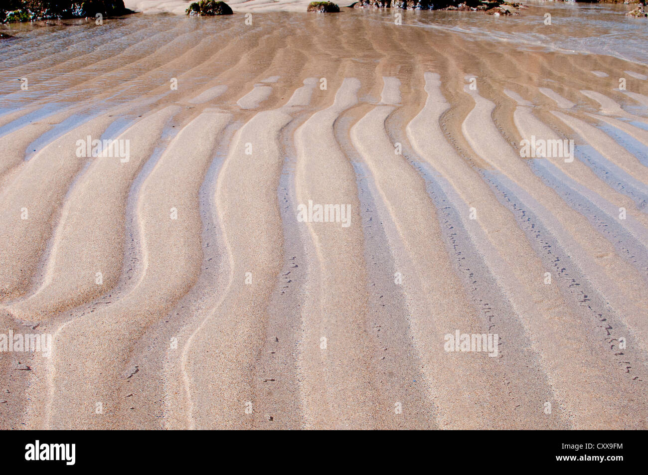 Ripples in sand on the beach filled with seawater Stock Photo - Alamy