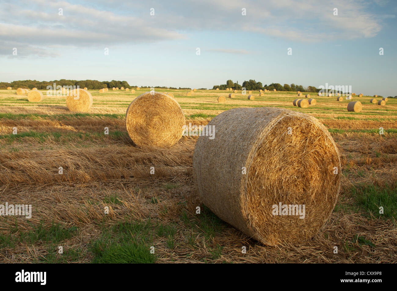 Bales hay scattered in fields hi-res stock photography and images - Alamy
