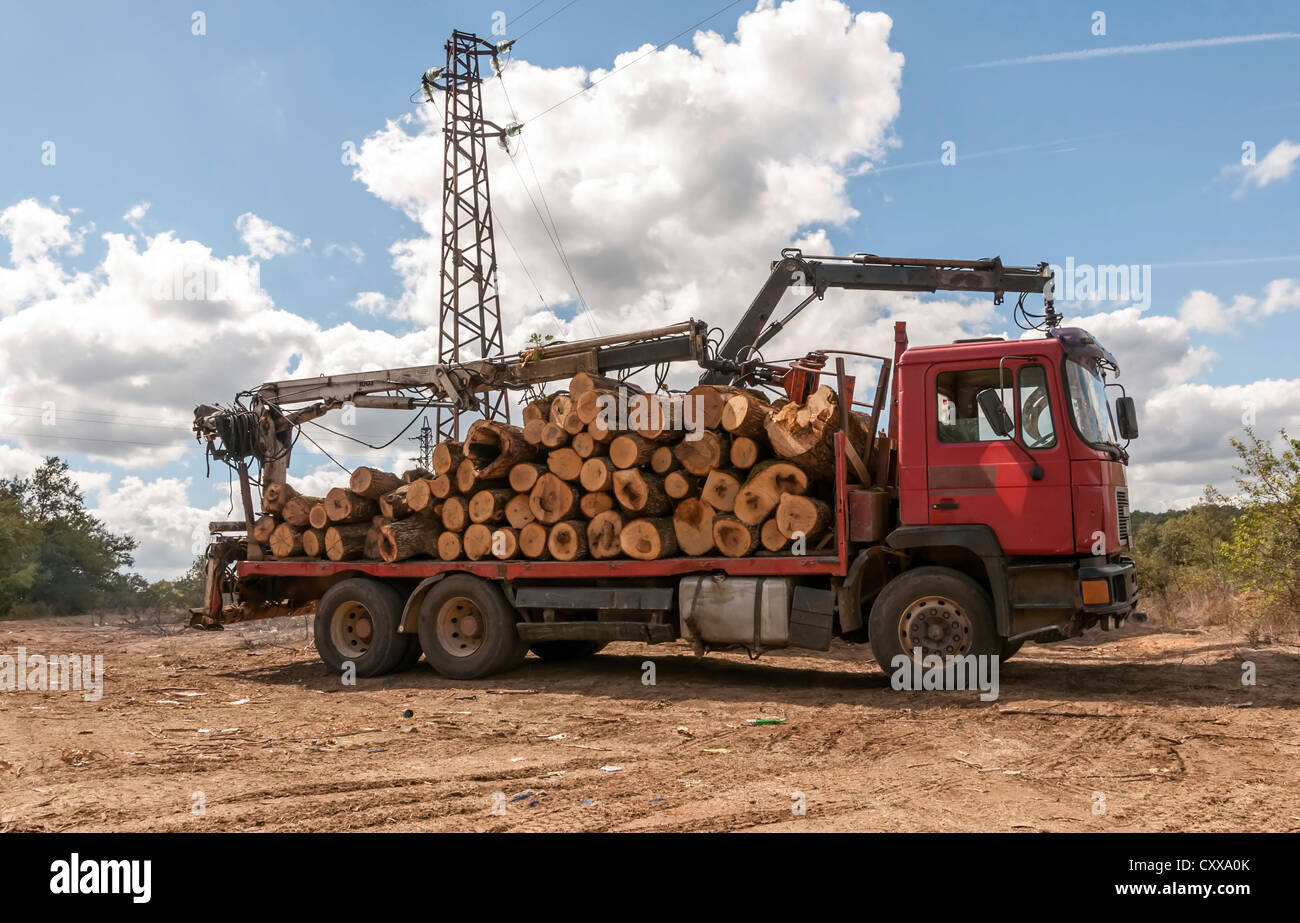 Loading of felled timber in a truck Stock Photo - Alamy
