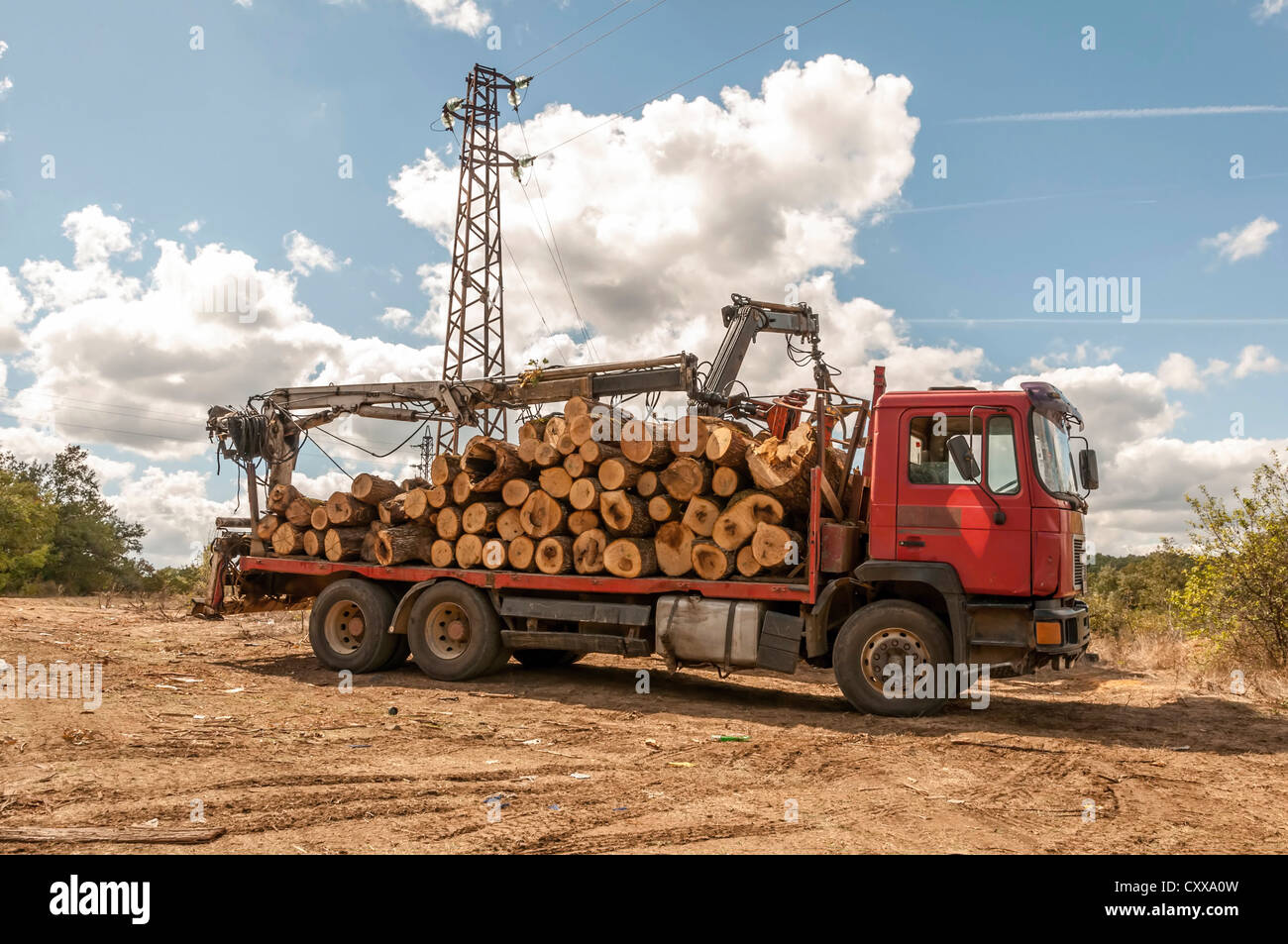 Loading of felled timber in a truck Stock Photo - Alamy