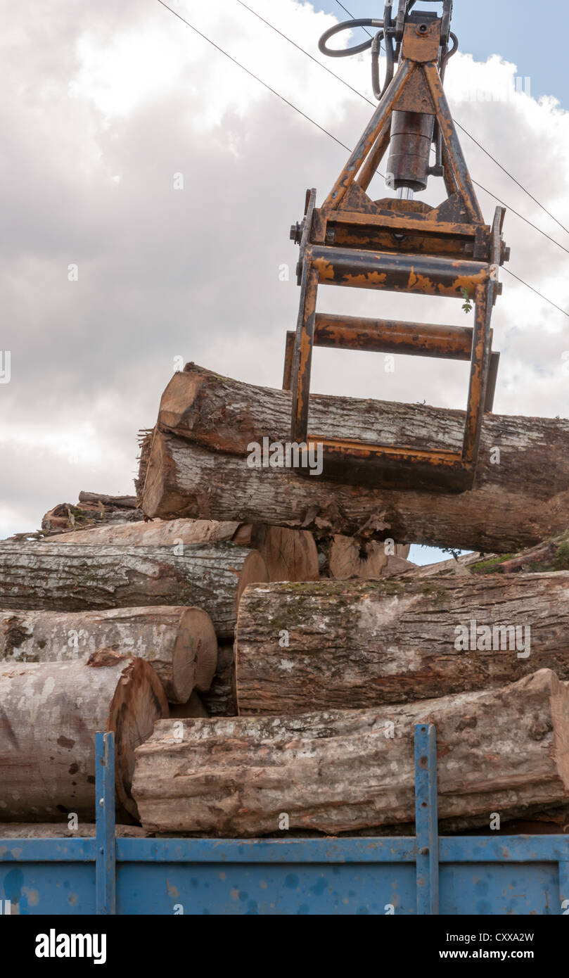 Wood truck loading hi-res stock photography and images - Alamy