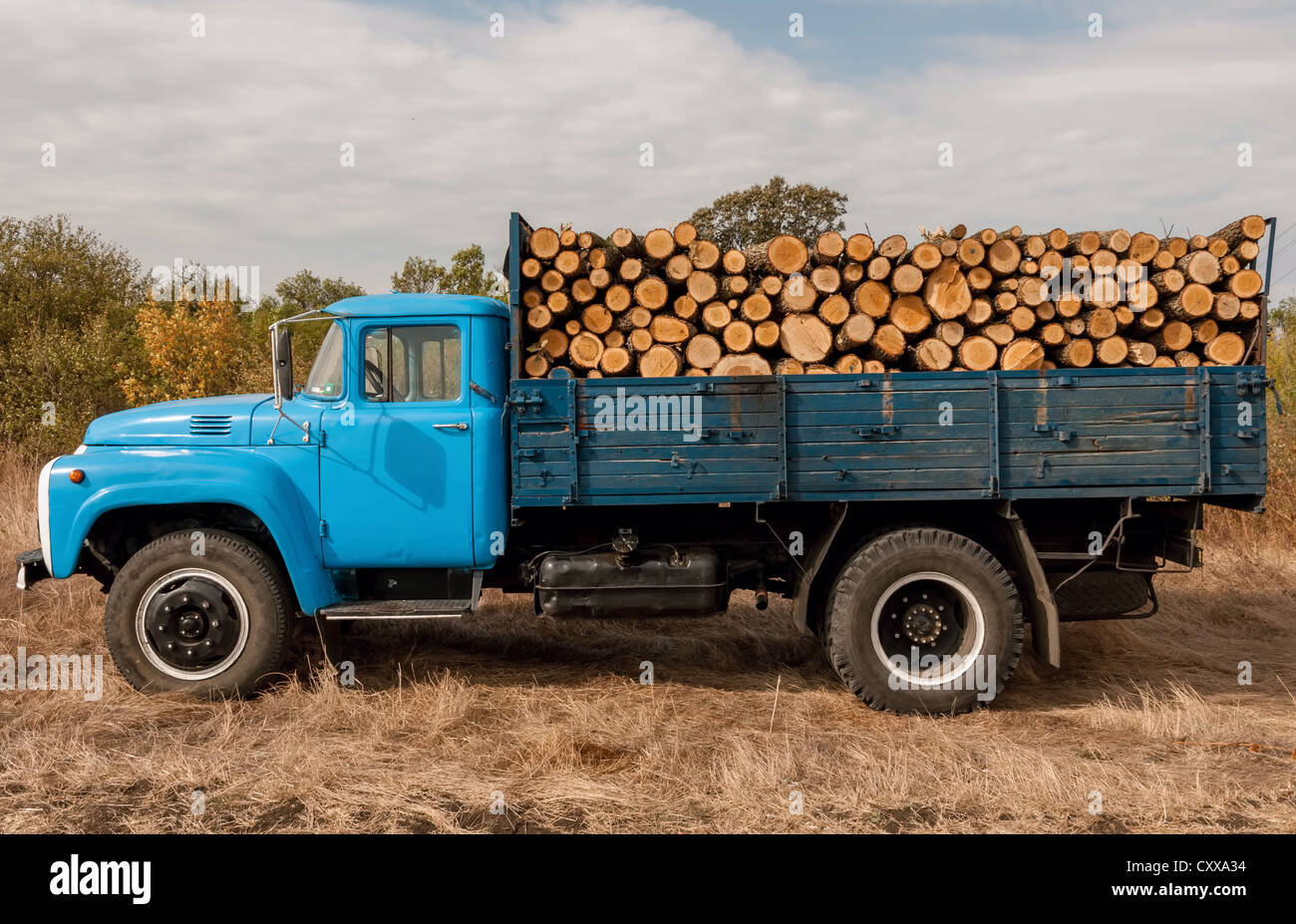 Loading of felled timber in a truck Stock Photo - Alamy
