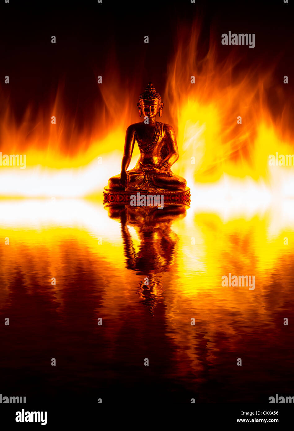 Buddha statue in front of fire with reflection against a dark ...