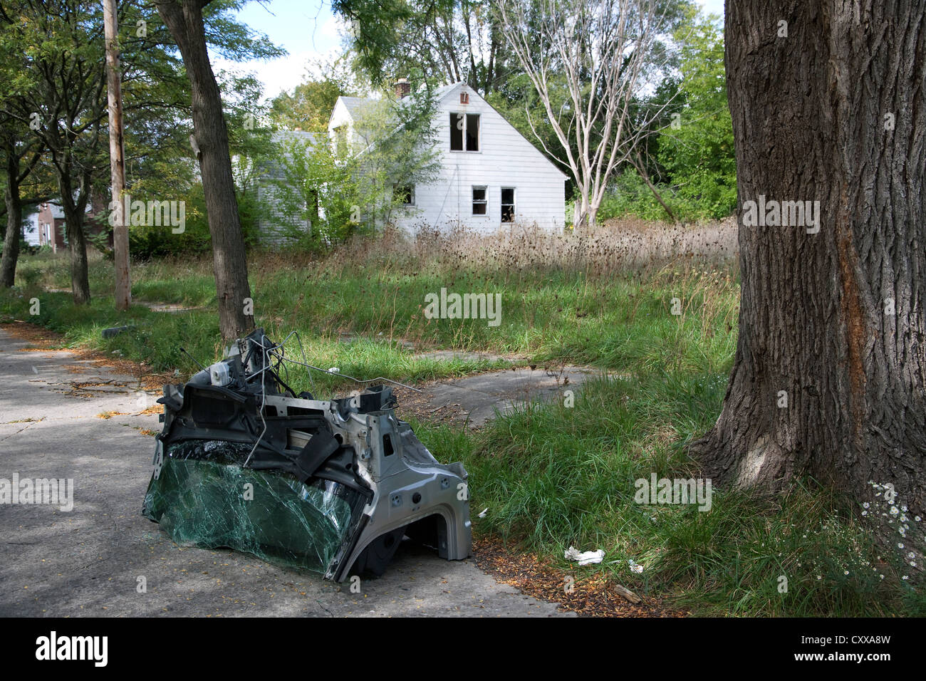 Engine block from auto on street, vacant homes, Detroit Michigan USA ...