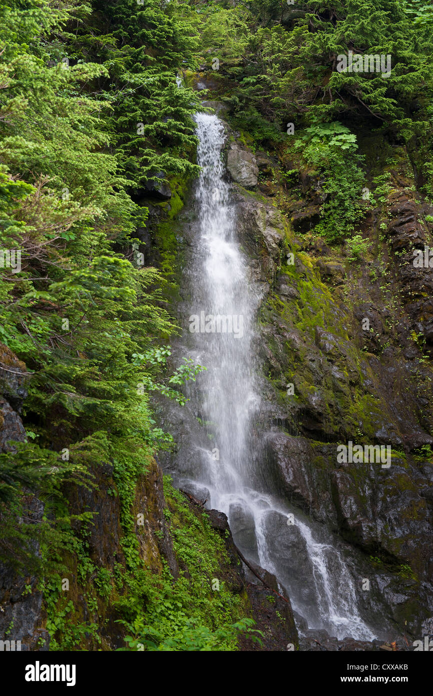 A beautiful waterfall seen on the Heliotrope Ridge Trail in the Mt ...