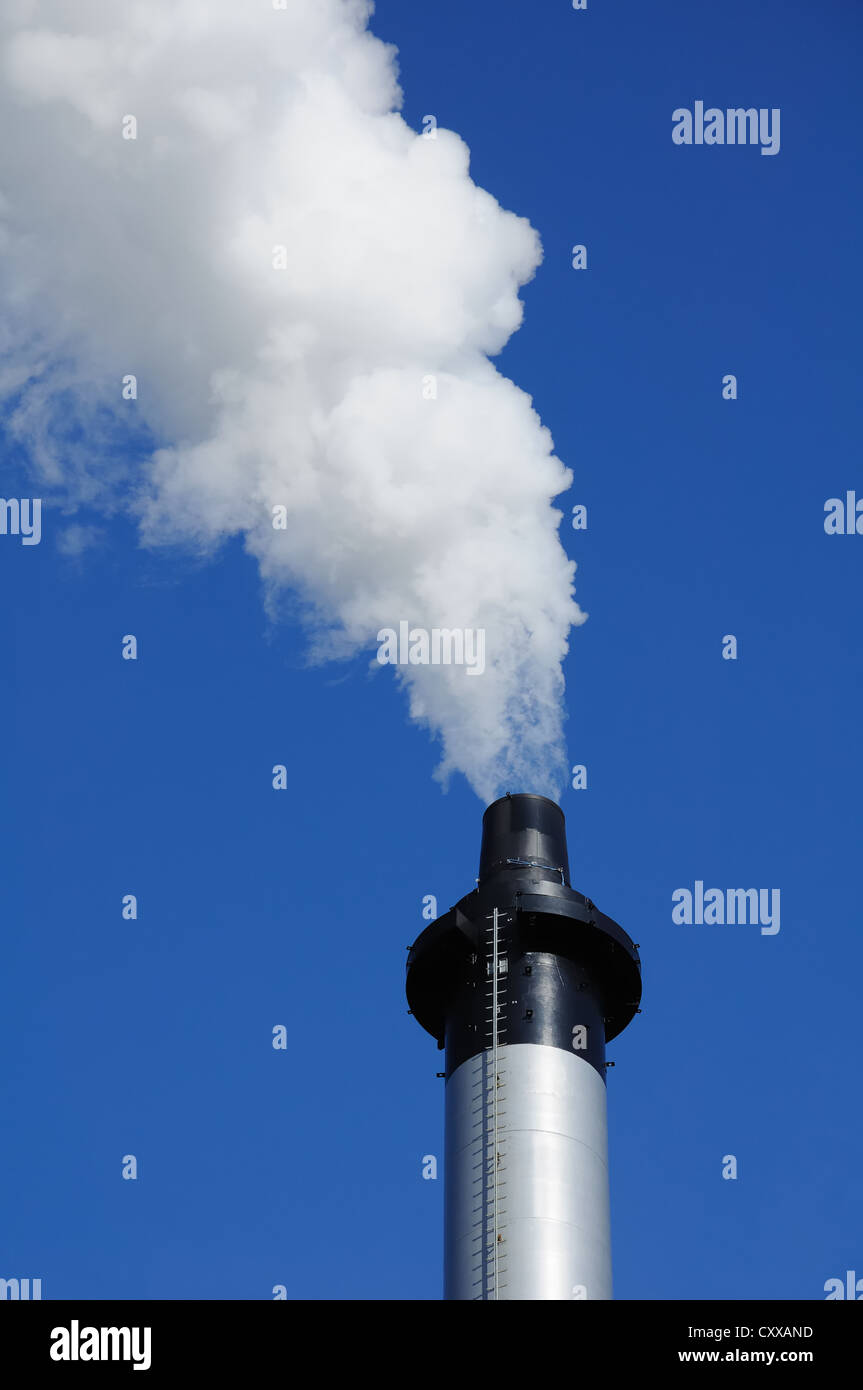 Steam bellows from a chimney of a whisky distillery Stock Photo - Alamy