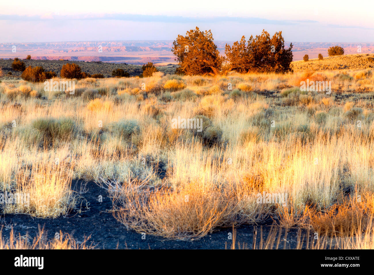 Painted desert, arizona hi-res stock photography and images - Alamy