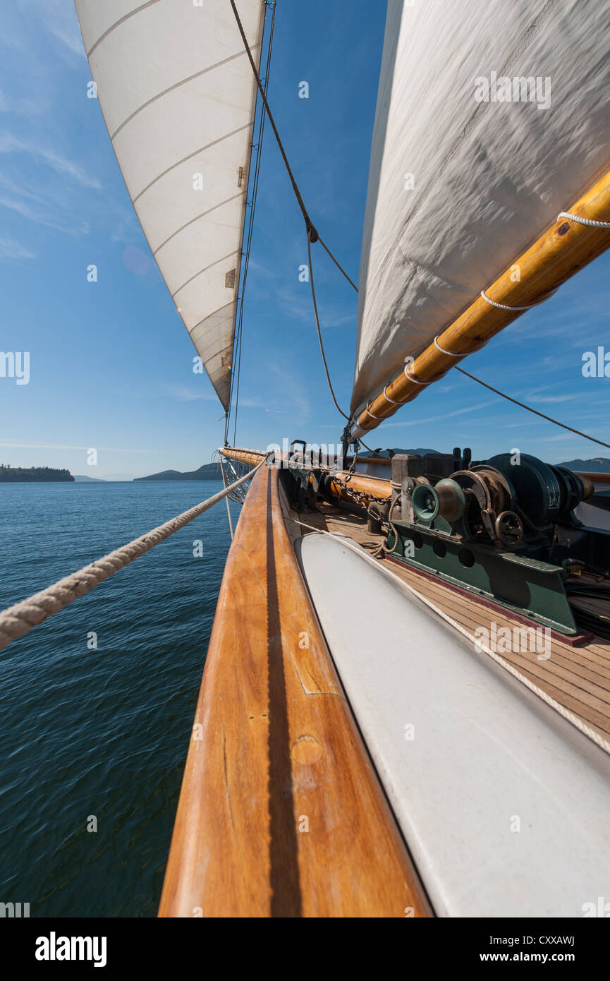 Aboard the historic tall ship schooner "Zodiac" sailing through the San ...