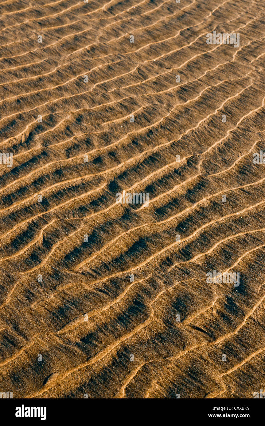 Sand ,windblown left ripples in the sand forming a natural abstract ...