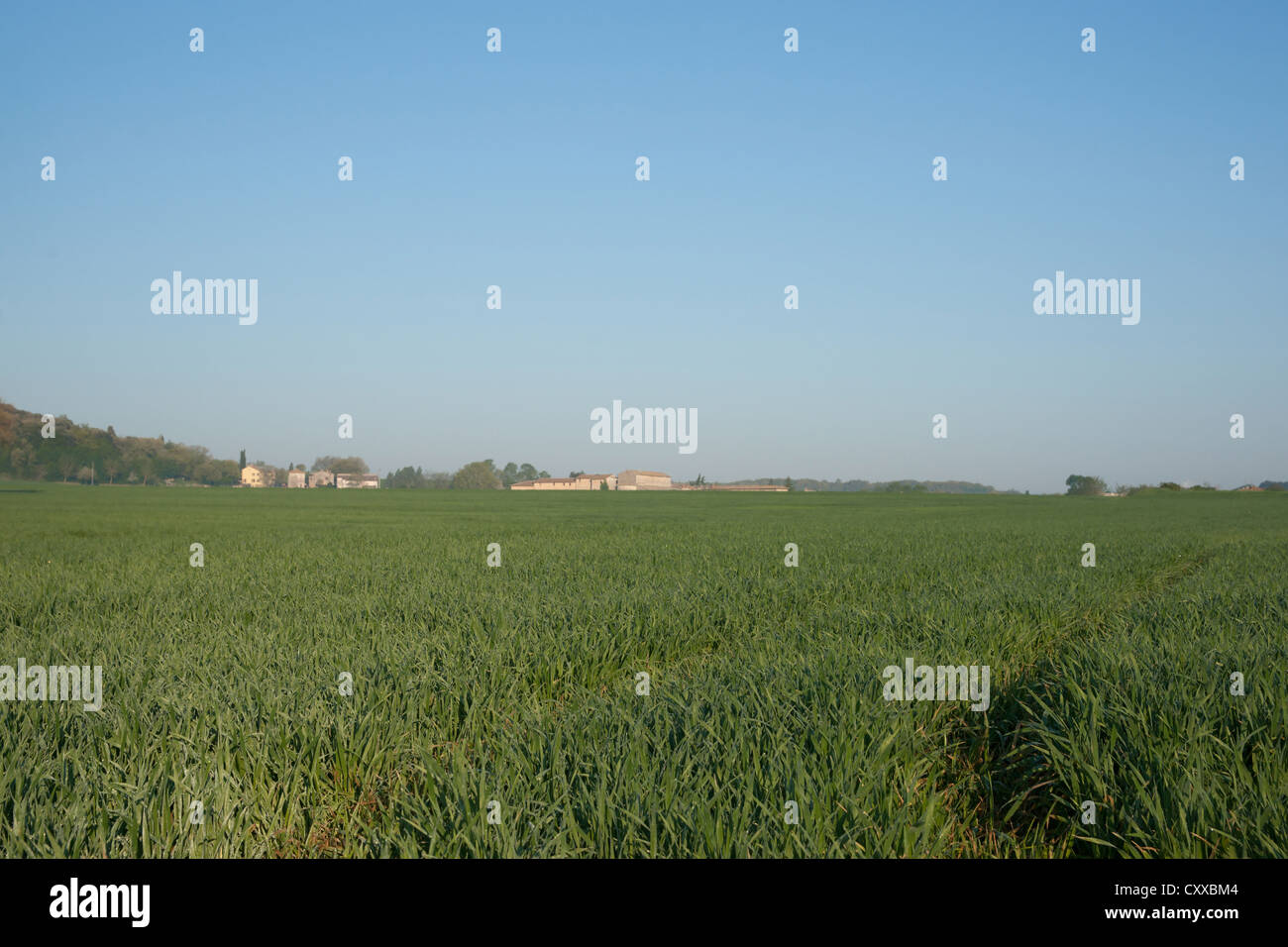 Tuscan rural scene hi-res stock photography and images - Alamy