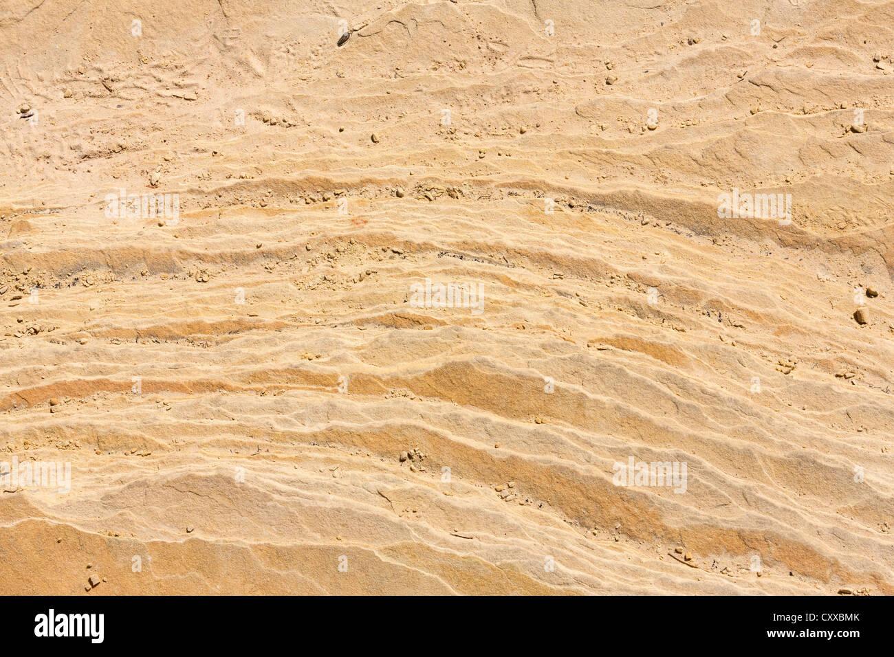 Rock structure along canyon at Zion National Park Stock Photo - Alamy